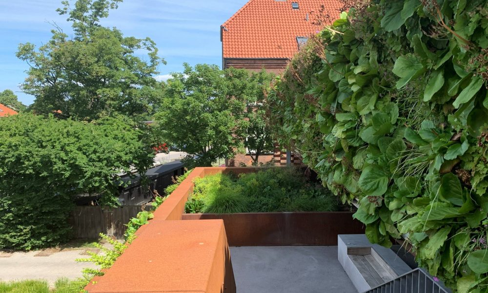 Importance of Gardening - Live With Trend Importance of Gardening - Live With Trend