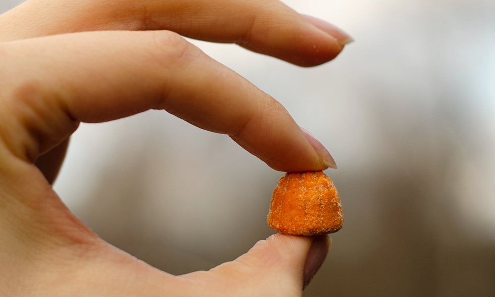 Bite into the Future: Cannabis-Infused Edibles on the Rise - Live With ...